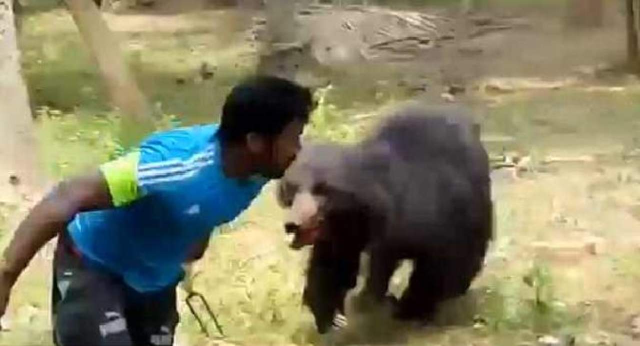 VIDEO: Oso ataca a un hombre en La India