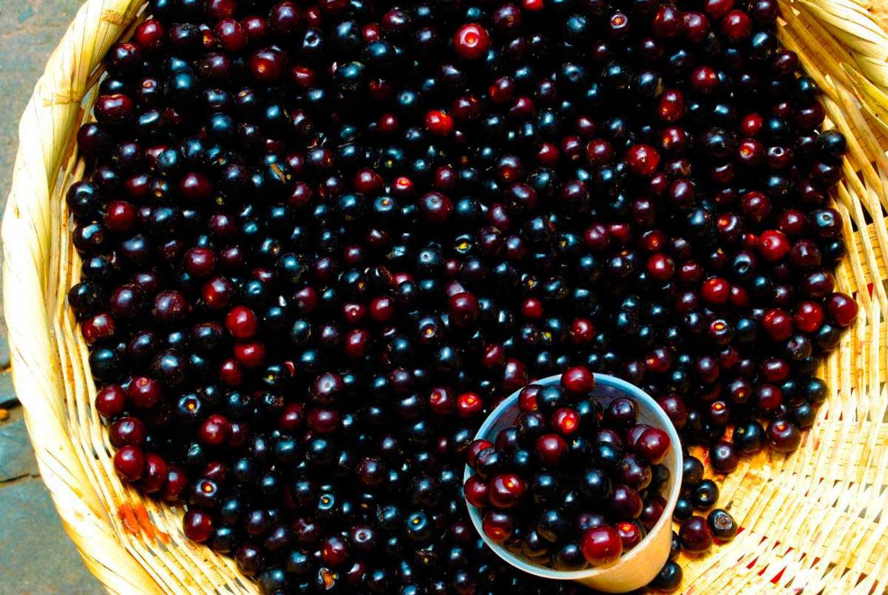 El poder del capulín